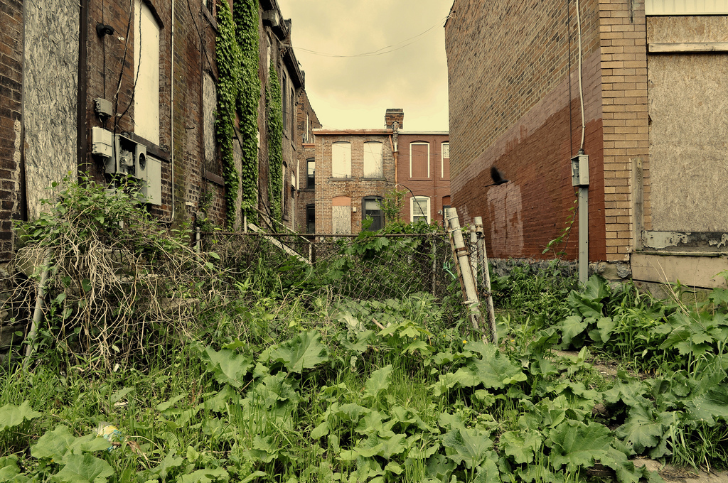 Homewood | Pittsburgh Beautiful
