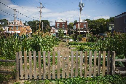 homewood neighborhood | Pittsburgh Beautiful