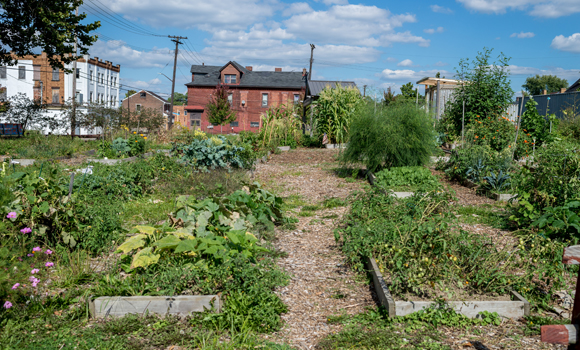 Pittsburgh Neighborhoods: History of Lincoln-Larimer | Pittsburgh Beautiful