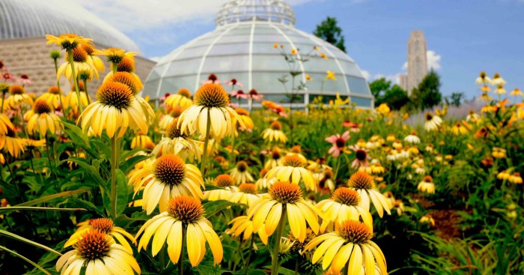 Must-See Places to Visit in Pittsburgh This Spring | Pittsburgh Beautiful