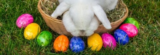 10 Ways You Know You Celebrated Easter in Pittsburgh | Pittsburgh Beautiful