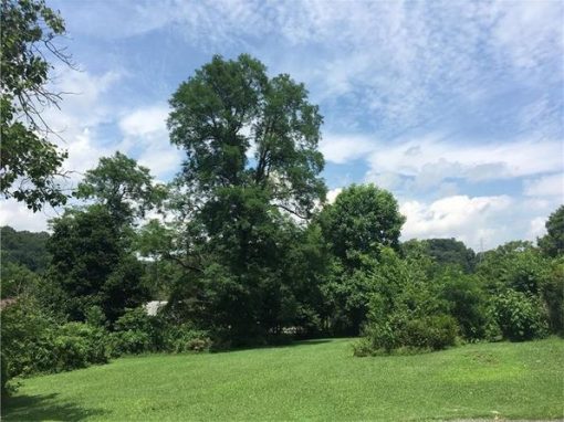 Pittsburgh Suburbs: History of Plum | Pittsburgh Beautiful