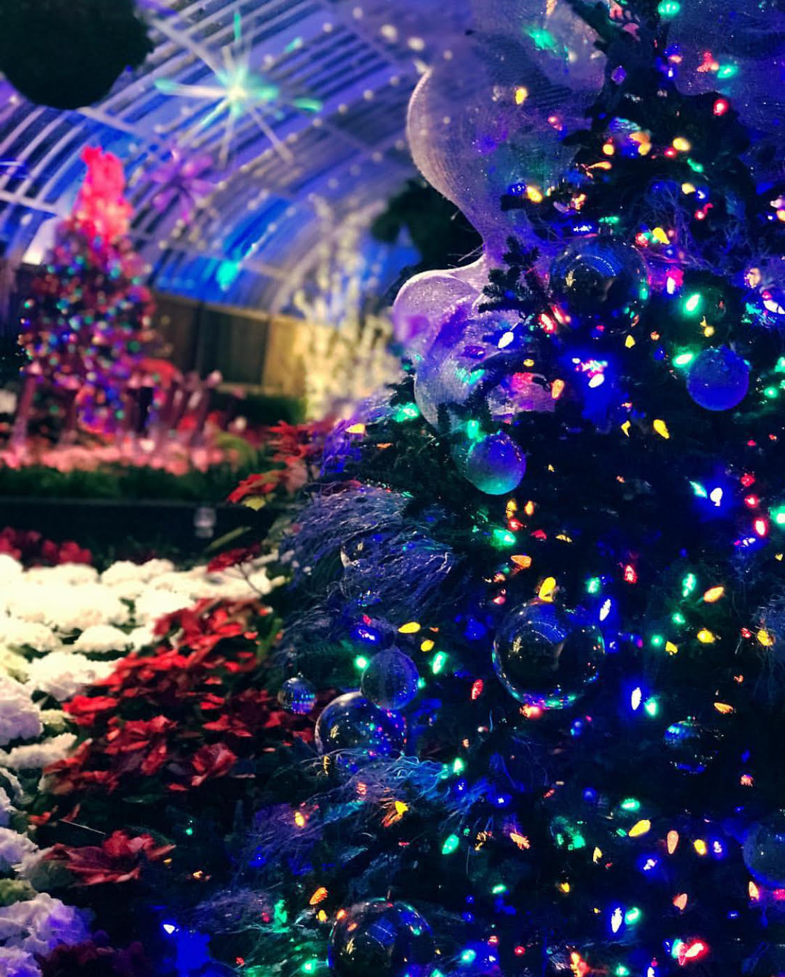 7 Great Christmas Tree Displays in Pittsburgh | Pittsburgh Beautiful