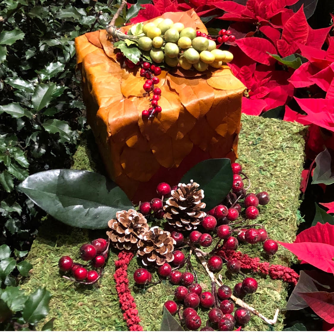 magical presents | Pittsburgh Beautiful