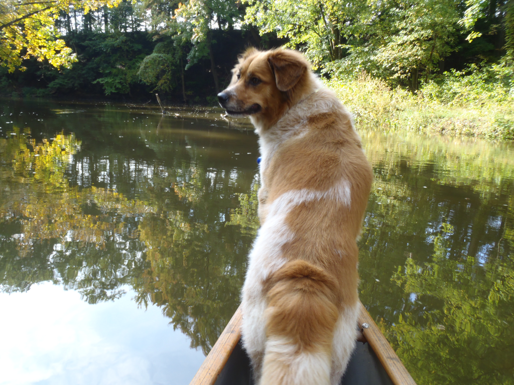 Mercer County PA Offers Great Outdoor Adventures That Are Close to Home ...