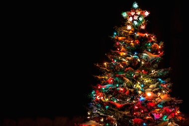 tree-lighting | Pittsburgh Beautiful