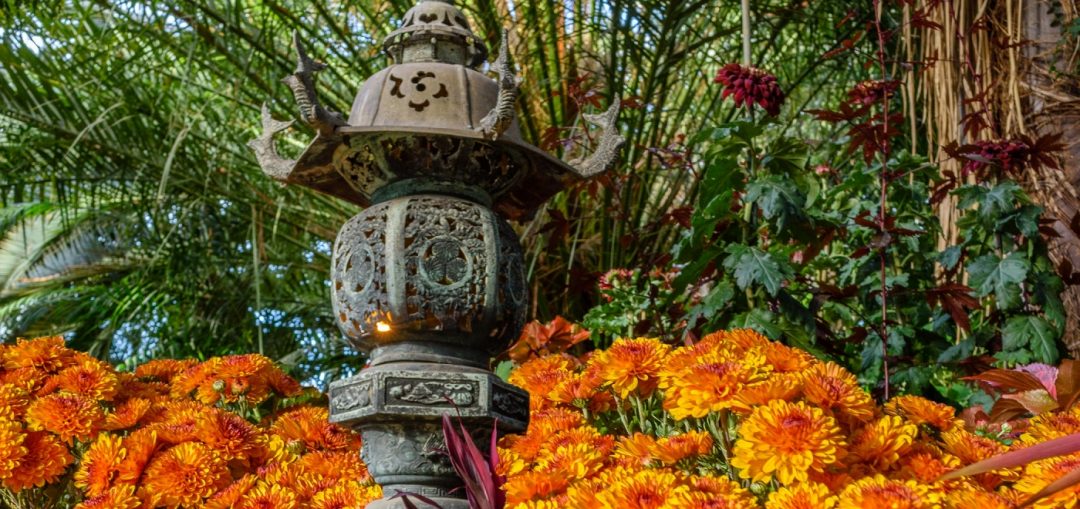 15 Reasons Pittsburgh is Perfect in the Fall | Pittsburgh Beautiful