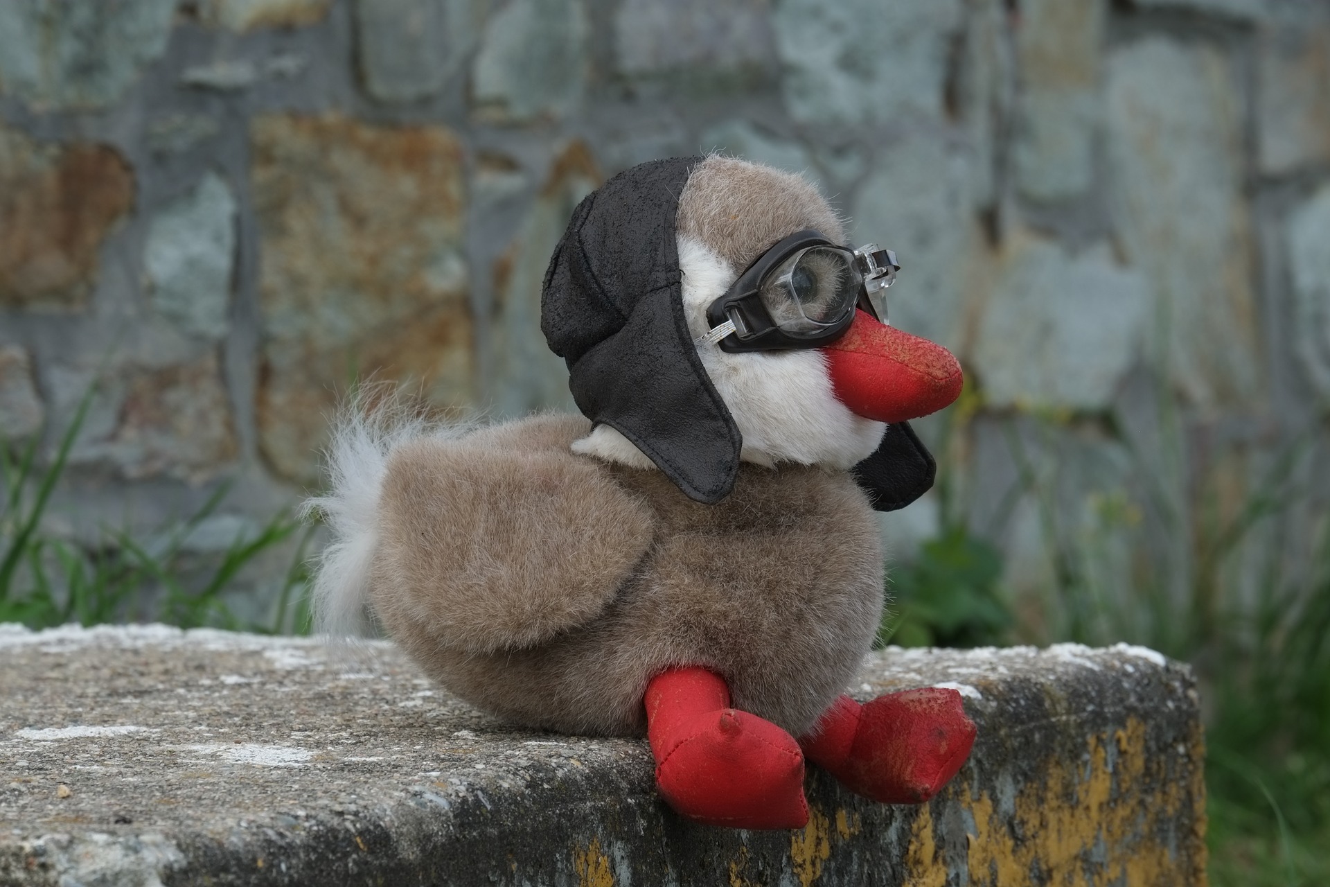 Ducks DO Fly, but Pittsburgh's Shouldn't | Pittsburgh Beautiful