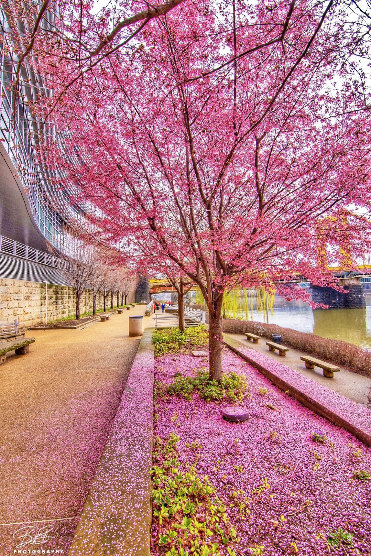 Pittsburgh - The City Through Your Eyes | Pittsburgh | Pittsburgh Beautiful