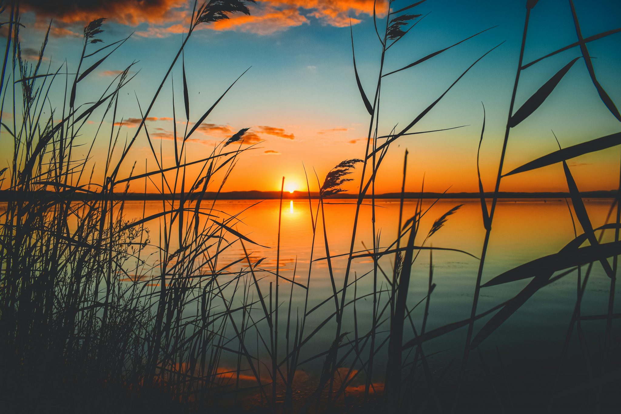 The Best Beaches Near Pittsburgh | Pittsburgh Beautiful