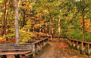 Frick Park in Pittsburgh | Pittsburgh Beautiful