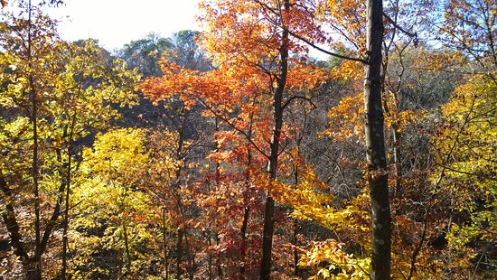 Frick Park in Pittsburgh | Pittsburgh Beautiful