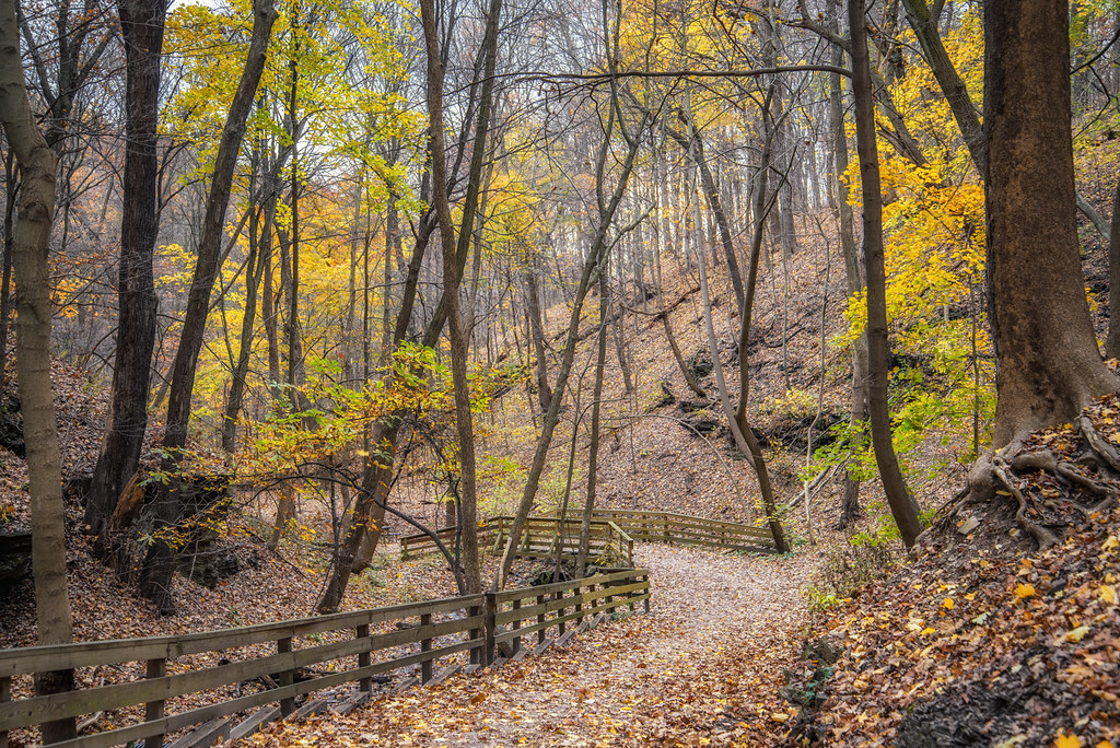 Frick Park in Pittsburgh | Pittsburgh Beautiful