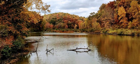 The Best Places to See Fall Foliage Near Pittsburgh | Pittsburgh Beautiful