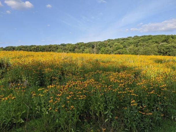Hartwood Acres | Pittsburgh Beautiful