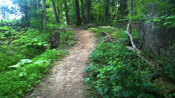 Point State Park: A Historical Gem in Pittsburgh | Pittsburgh Beautiful