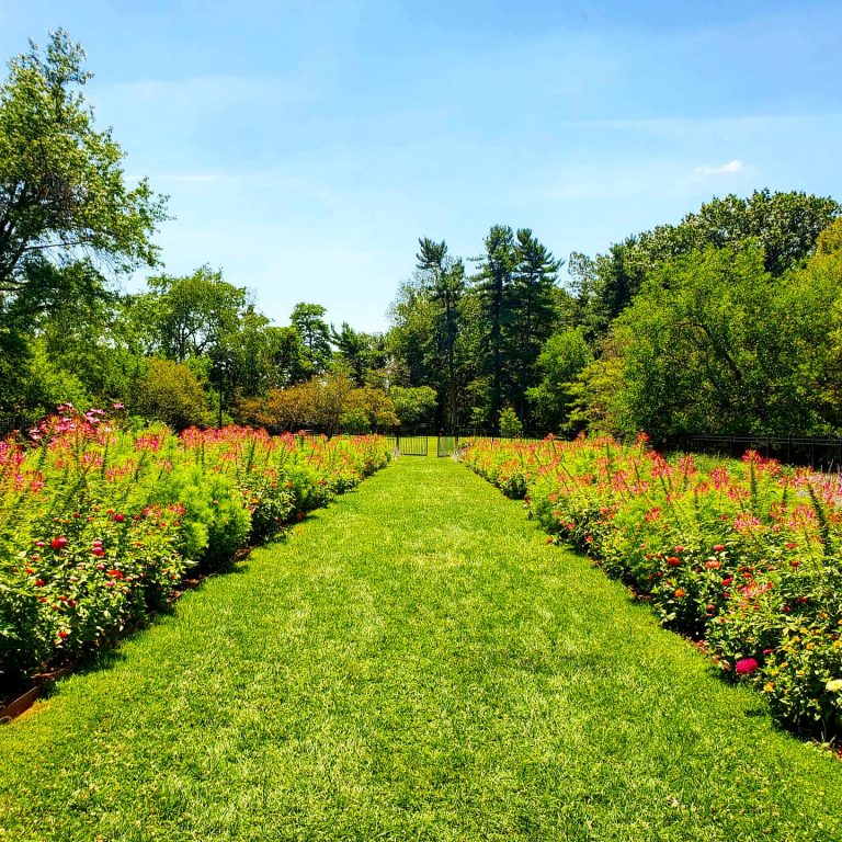 Hartwood Acres | Pittsburgh Beautiful