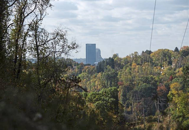 Girty's Woods | Pittsburgh Beautiful