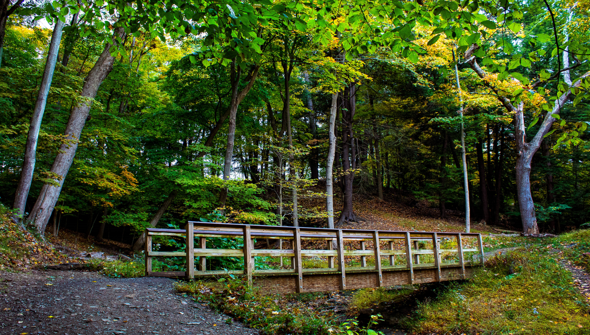 Fall Run Park | Pittsburgh Beautiful