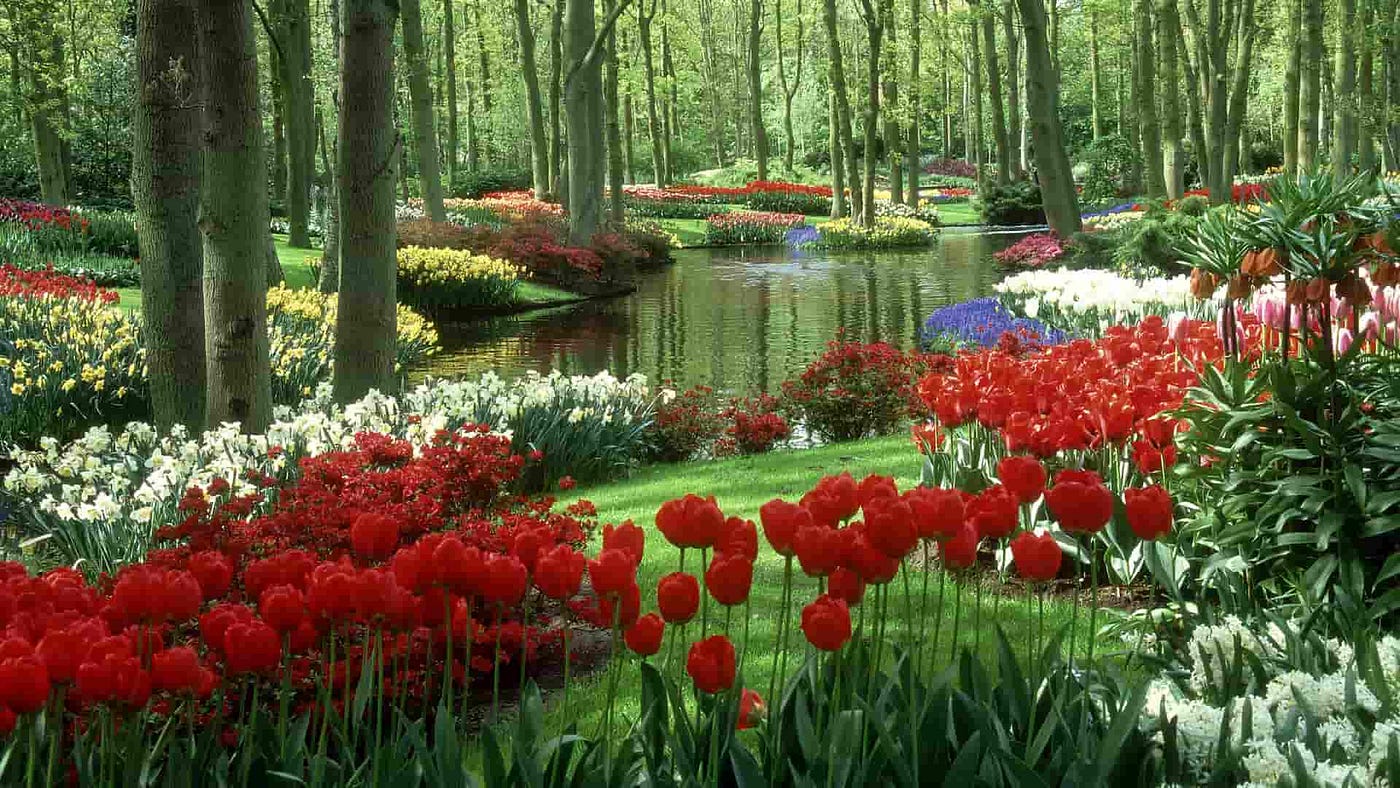 The Best Gardens to Visit in Pittsburgh | Pittsburgh Beautiful